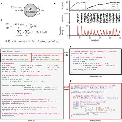 Frontiers | Brian2CUDA: Flexible and Efficient Simulation of Spiking Neural Network Models on GPUs